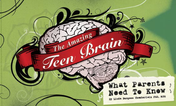 The Amazing Teen Brain | Multiplying Connections
